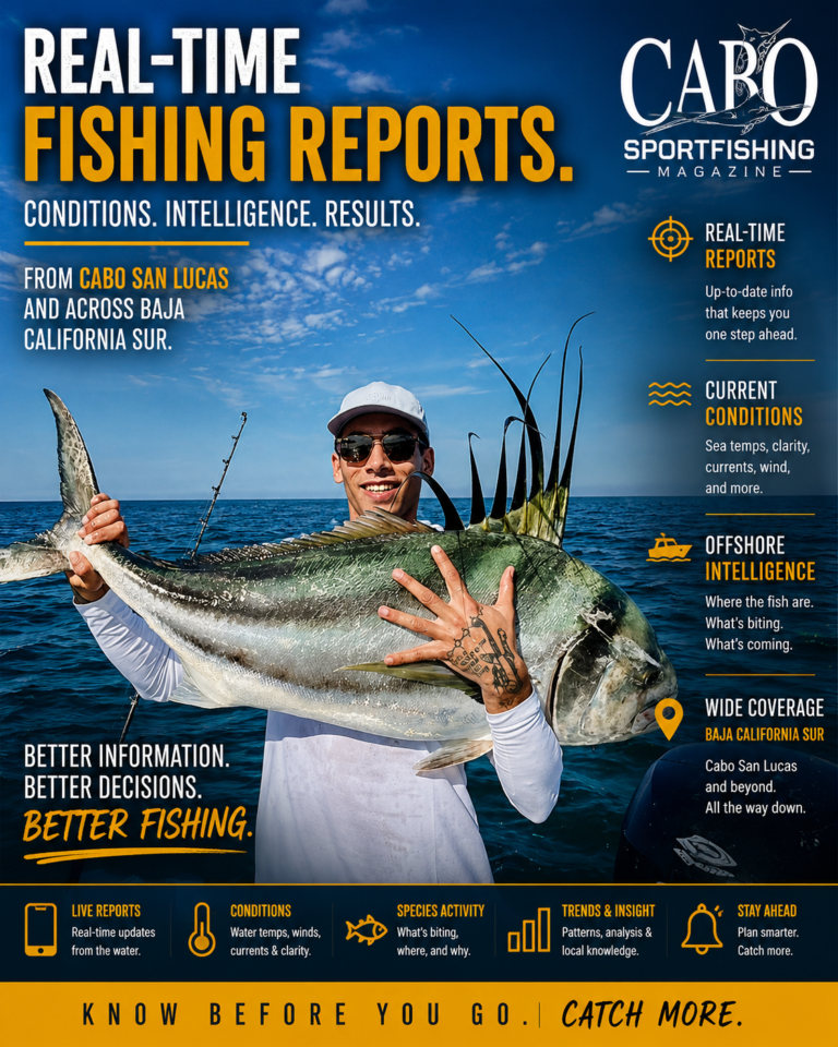 Baja Fishing Reports - Cabo Sportfishing Magazine / Official Fishing ...